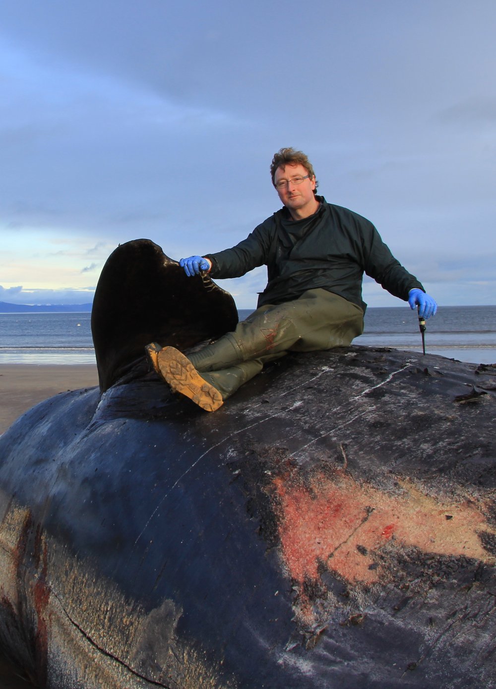 Andrew Brownlow - The Churchill Fellowship