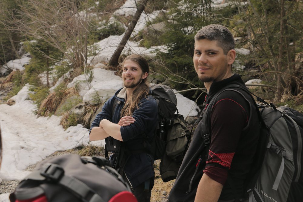 New ways to understand the wild world