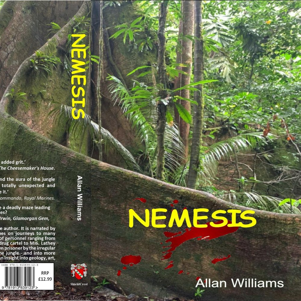 March 2021 Fellow's update: Allan Williams