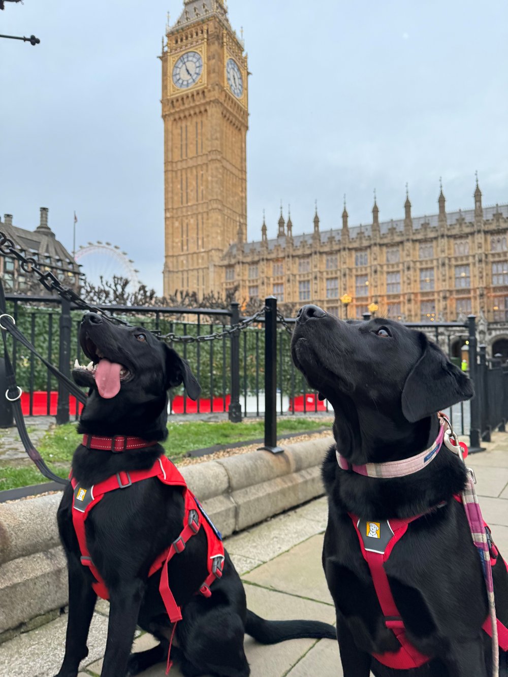 February 2024 Fellow's update: Garry Botterill - The Churchill Fellowship