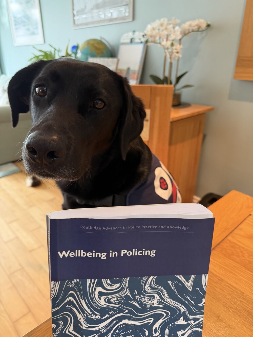 March 2026 Fellows' update: Garry Botterill - The Churchill Fellowship