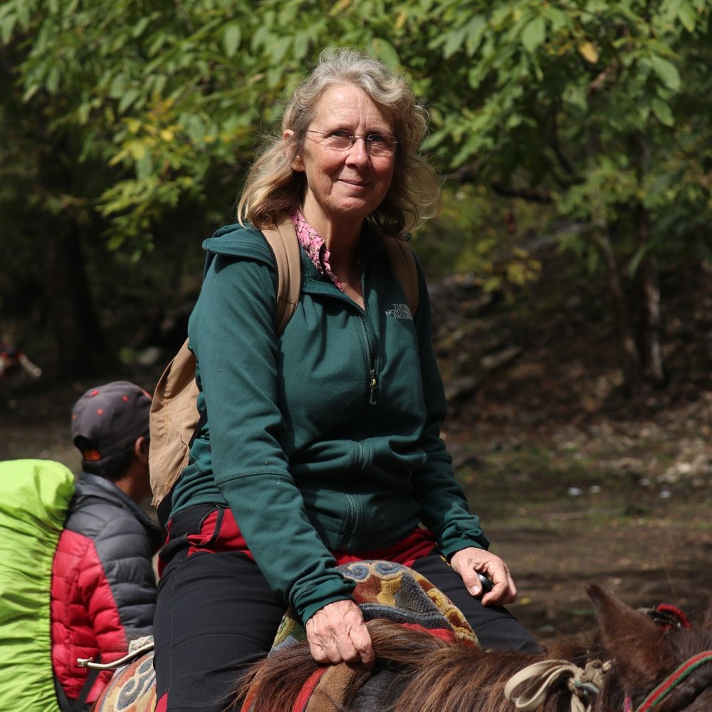 April 2021 Fellow's update: Jane Wilson-Howarth - The Churchill Fellowship