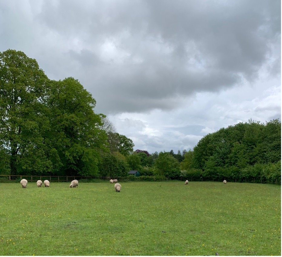 Supporting Families Through Care Farming - The Churchill Fellowship