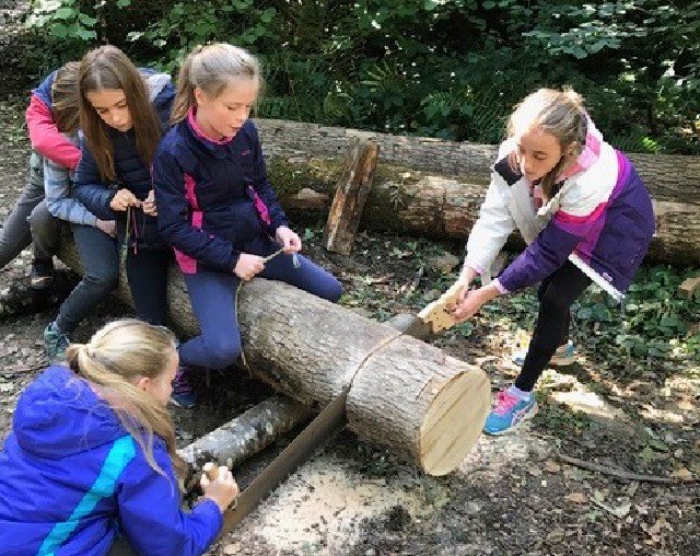 Connecting with nature during lockdown