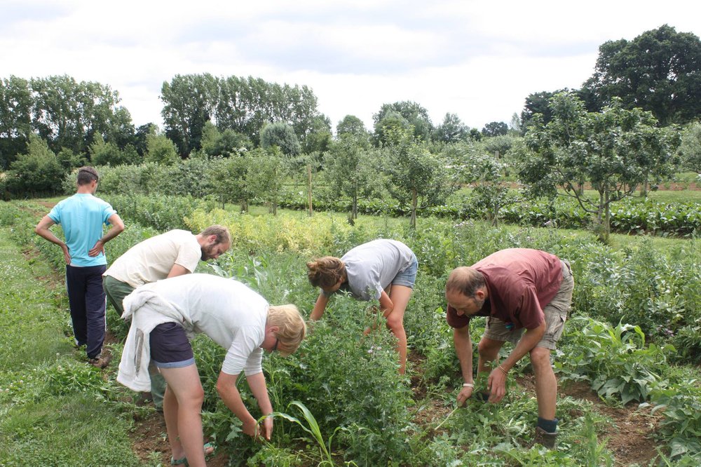 Strengthening local food supply chains - The Churchill Fellowship